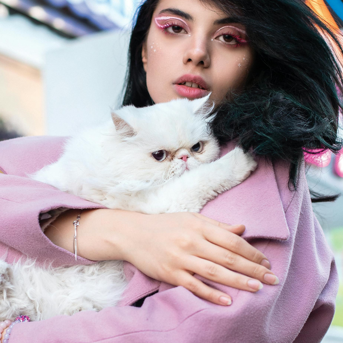 Fluffy, Fresh & Fabulous: How to Spoil Your Cat the Natural Way ...